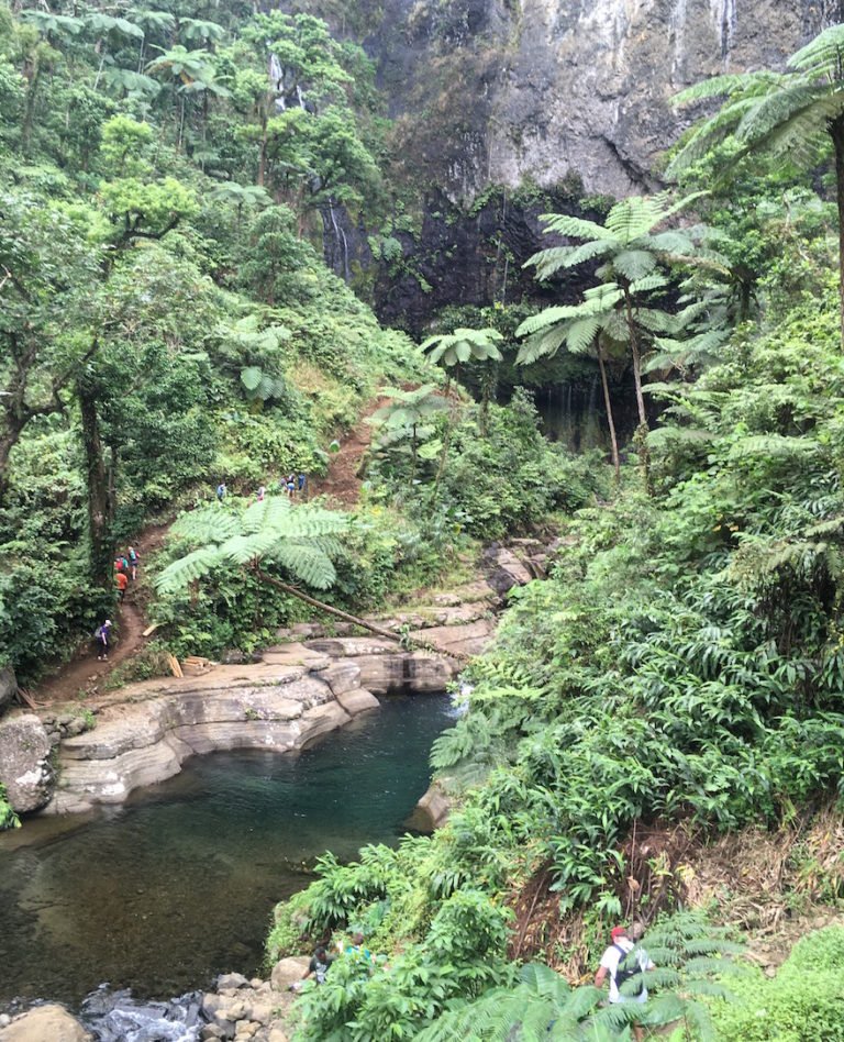 Track-building in Nabalesere - Talanoa Treks Fiji