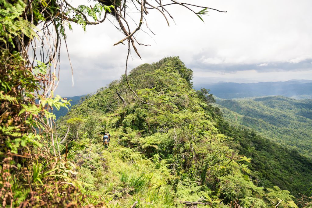 Highland Escape with Mt Tomaniivi - Talanoa Treks Fiji