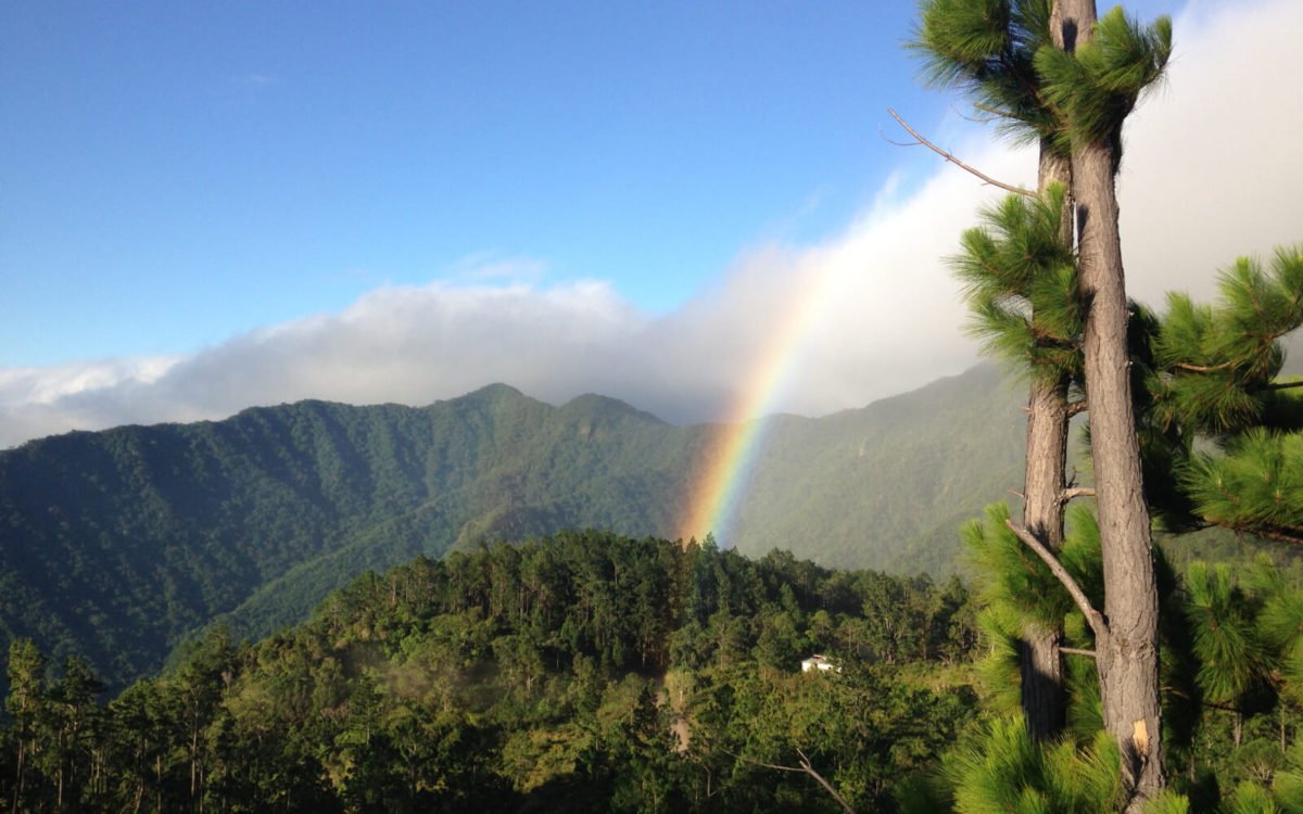 Talanoa Treks - Fiji - Talanoa Treks Fiji